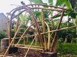 Bending Bamboo – Bamboo Creative Bali