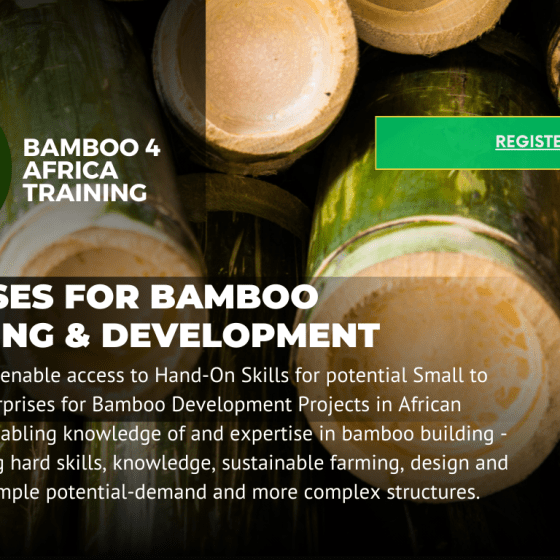 Bamboo Creative Bali – Weaving our own World; making sustainability ...